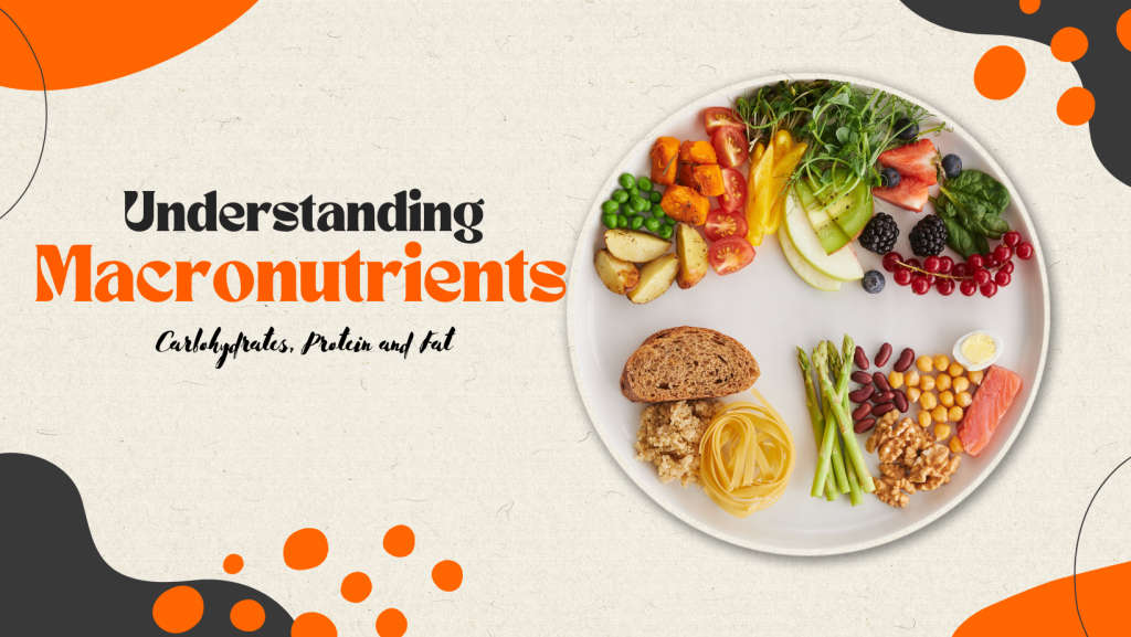 Understanding Macronutrients - Edge Fit